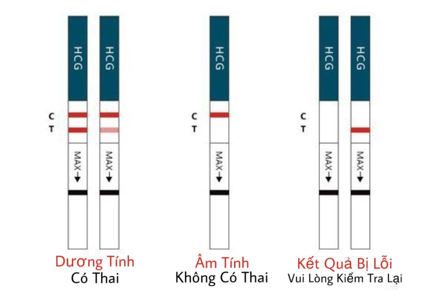 Sử Dụng Que Thử Thai Và Những Vấn Đề Cần Lưu Ý - Thiết Bị Y Tế Chính Hãng